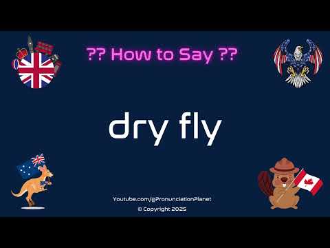 🪰🎣 How to Pronounce dry fly? (CORRECTLY) | Pronunciation Planet
