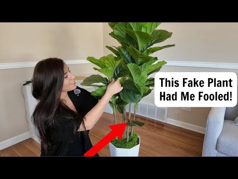 This Artificial Fiddle Leaf Plant Looks SO Real! | Amazon Home Decor Find