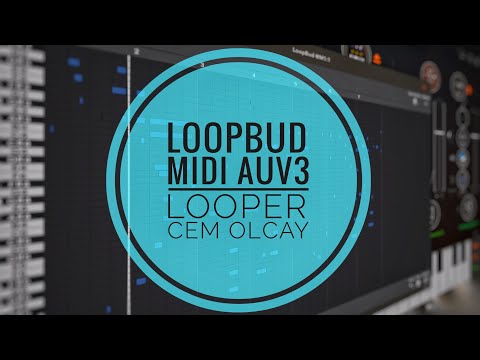 Cem Olcay LoopBud New AUv3 Midi Looper: Walkthrough Review (Win 5 FREE Copies of ANY Cem Olcay ...