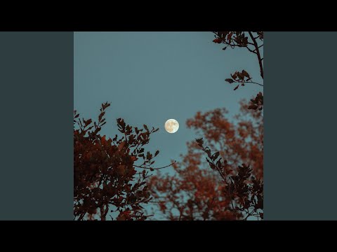 Wesley Hargon - People Pleasing (Audio) | Vídeo Musical, Letra de la ...