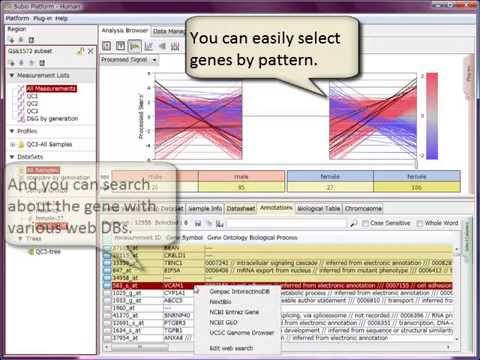 How to define web links
