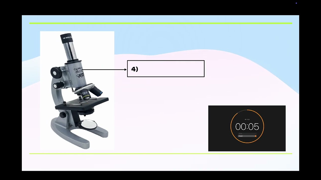Microscope Quiz: Can YOU Label It?