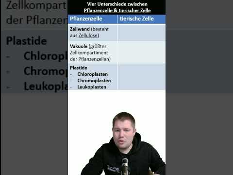 Vier Unterschiede zwischen Pflanzenzellen und tierischen Zellen #biology #biologie