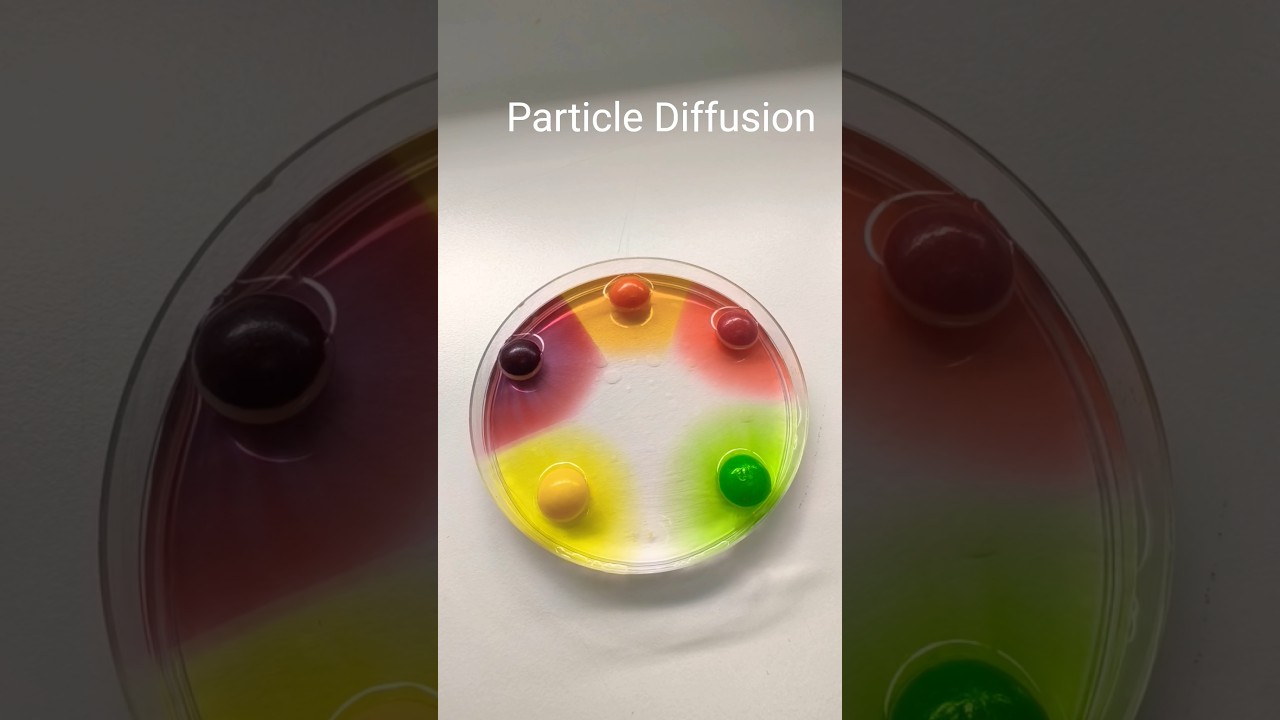 Partical Diffusion #experiments#scienceexperiment