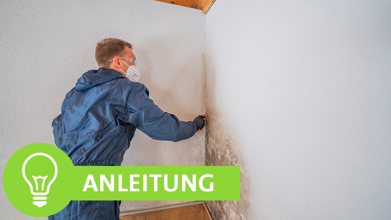 Mold on the wall - removing and preventing mold