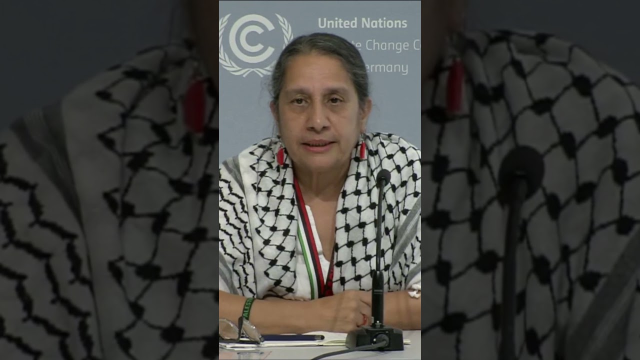 Tasneem  Essop Just Transition Work Programme -  With Text