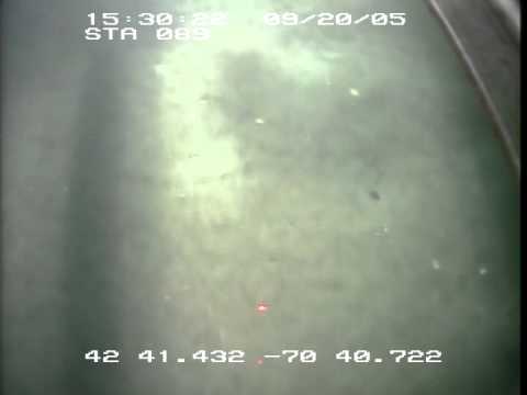 05005_Station_89