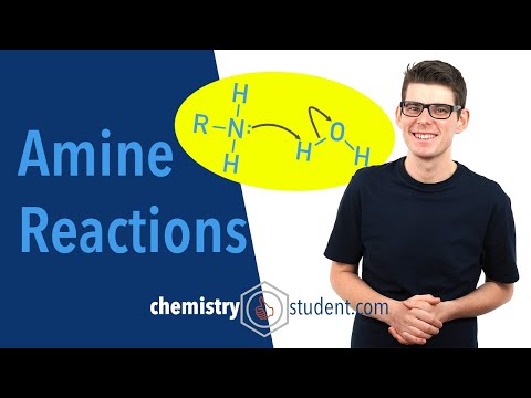 Amines - Reactions (A-Level IB Chemistry)