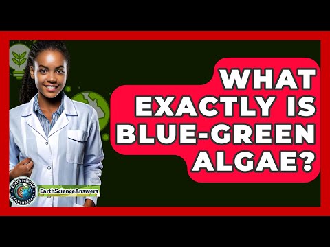 What Exactly Is Blue-green Algae? - Earth Science Answers