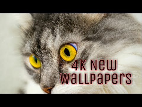 desktop wallpaper4K Beautiful Wallpapers/desktop backgrounds {FREE} desktop wallpaper