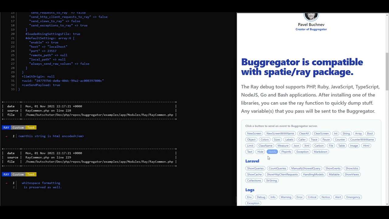 Buggregator 2.0 demo preview