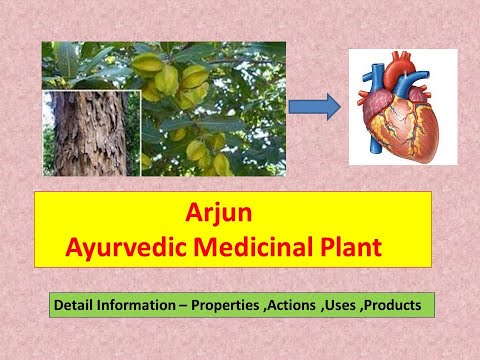EXPERTS Reveal Amazing Heart Benefits of Arjuna