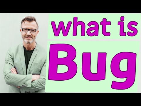 Bug | Meaning of bug