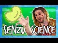 What’s Inside Dragon Ball Z’s Senzu Beans? - Nerdist