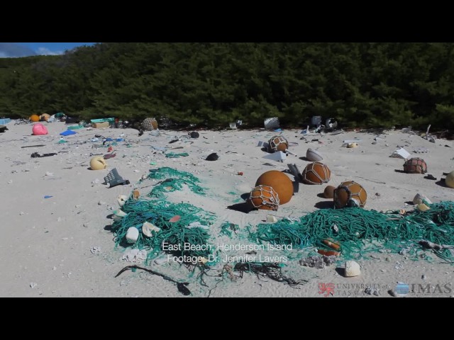 Isla Henderson, el lugar más contaminado con plástico del mundo