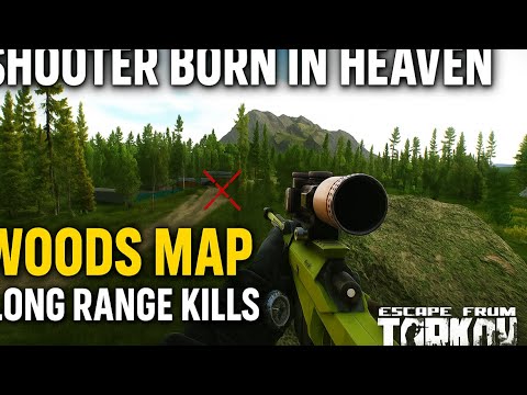 Tarkov Shooter Born in Woods | Can i get all 5 in a single raid? eft PVE escape from tarkov