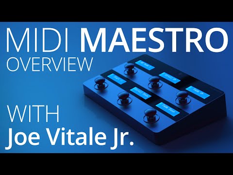 Singular Sound Midi Maestro | Reverb