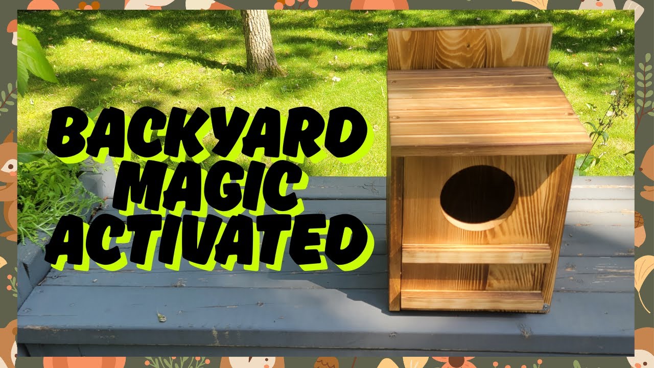 Owl Nesting Box That Actually Works—Cozy, Weatherproof & Made My Backyard a Wildlife Show