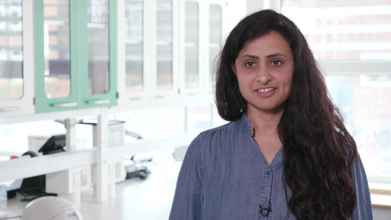 Fidabio: Applications Overview