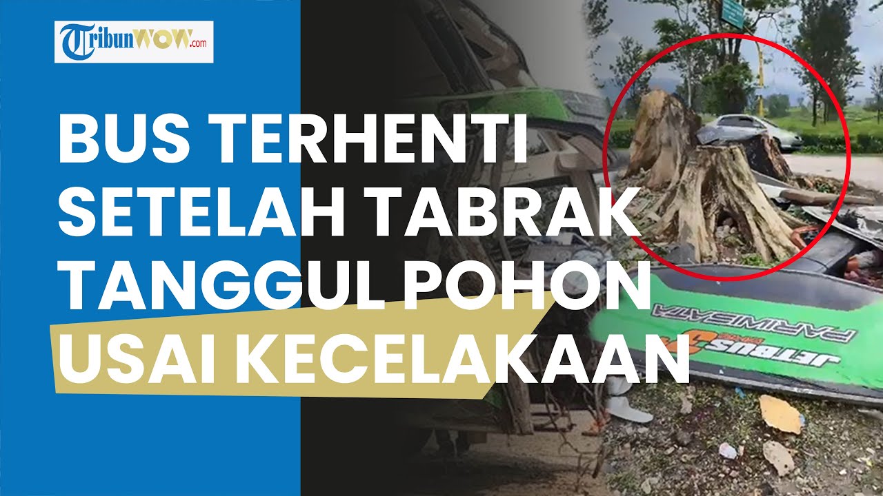 Bus Trans Putra Fajar Terhenti setelah Tabrak Tanggul Pohon seusai ...