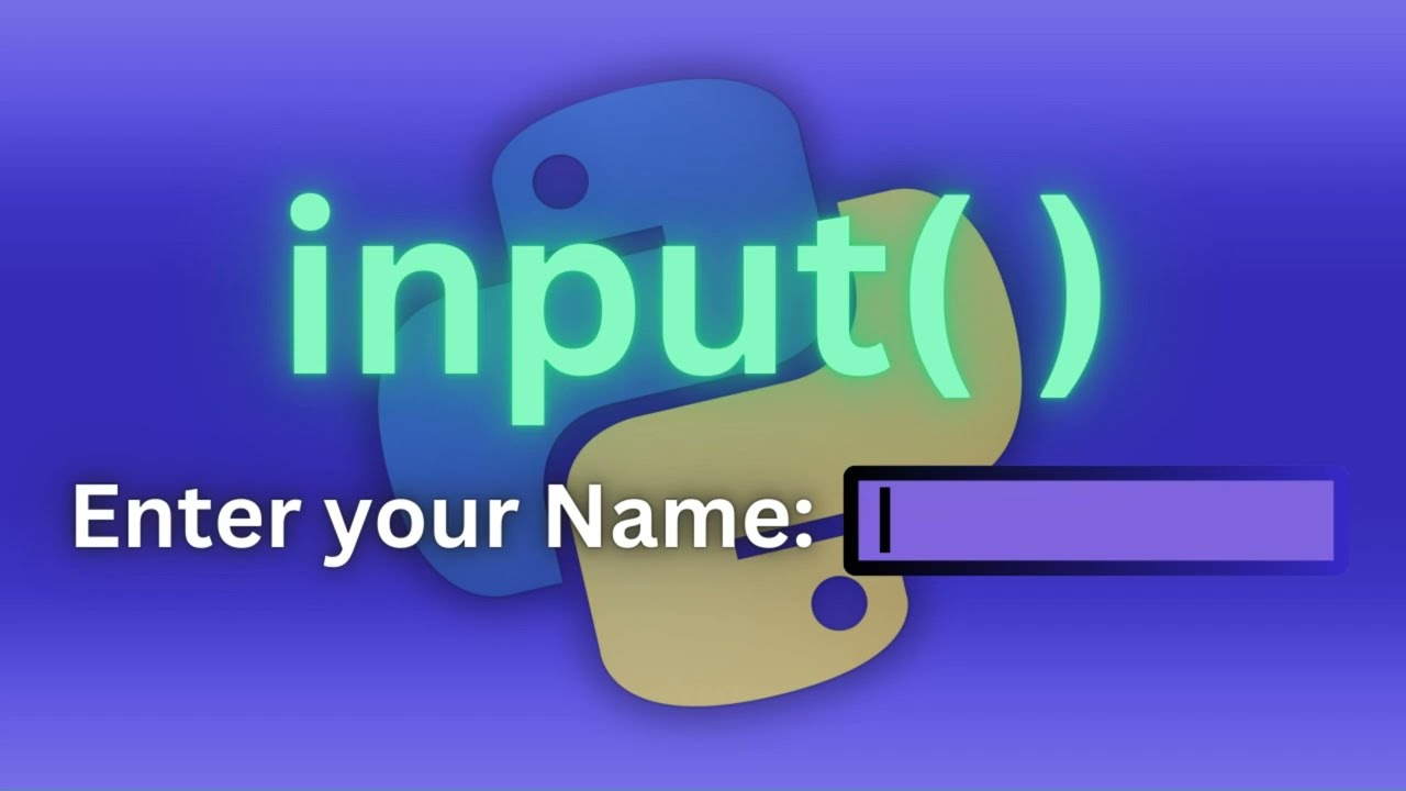 input( ) Function - Python Tutorial #17 [Beginners]
