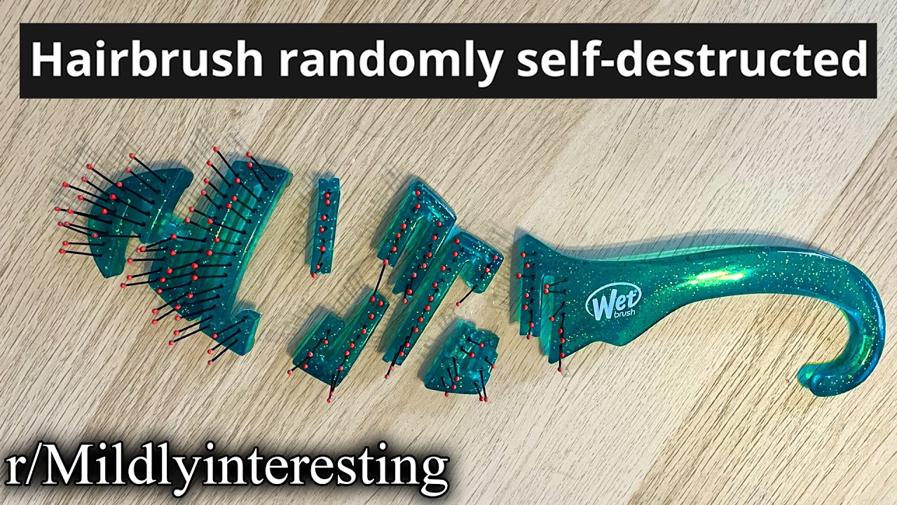 17 minutes of r/Mildlyinteresting