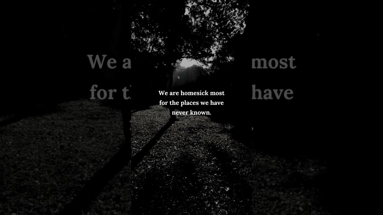 We are homesick most #carson  #heartfelt #minimalistquotes #motivationalquotes