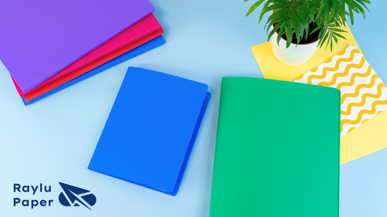 RAYLU PAPER - Carpeta con Fundas Transparentes
