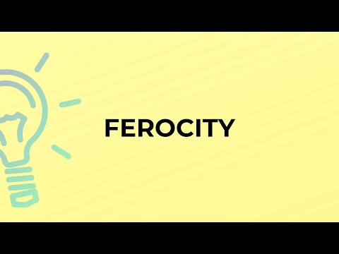 What is the meaning of the word FEROCITY?