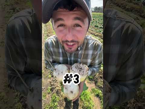 5 Fantastic Facts about Turnips