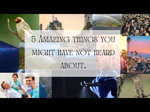 5 Amazing things that you might not have heard || Breena Bernad