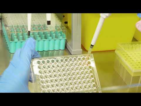 Organoid Culture Protocols