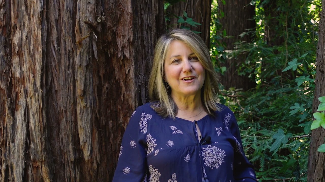TFC Alumni Spotlight: Marlene Saritzky (TFC Director, 1991-1995)