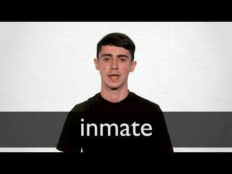 INMATE definition in American English | Collins English Dictionary