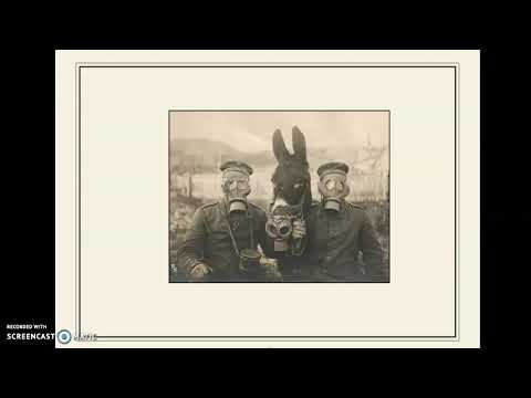 WWI Strategies & Total War
