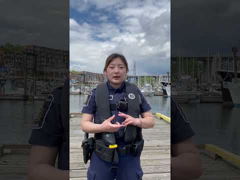 Boat trips: declaring goods on board