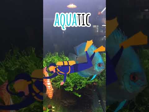 Latin Roots AQUA and AQUE | Bansho