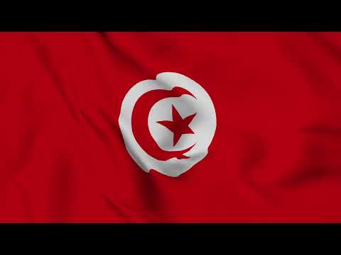 Tunisian Flag in 4K | 10 Minutes of Relaxing Tunisia Flag Waving Loop