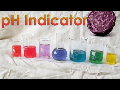 Make an Indicator | Science-stein Secondary School Science