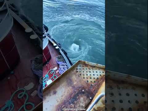 Where two oceans meet: exploring deep sea cores #oceanlove