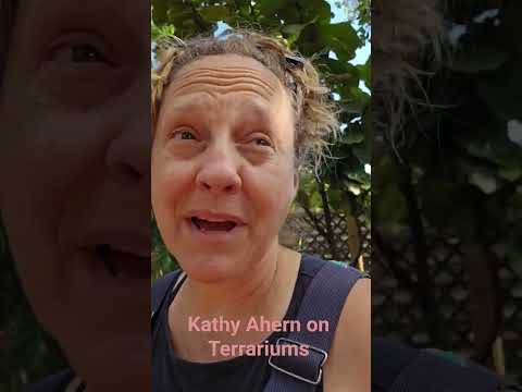 Kathy Ahern on terrariums. #begonia #begoniamaculata #terrariums #terrariumbegonias