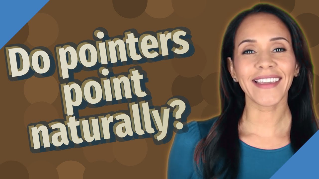 Do pointers point naturally?