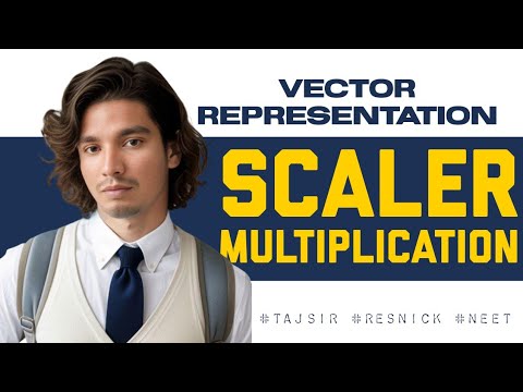 Vector Representation and Scalar Multiplication Explained | Taj Sir