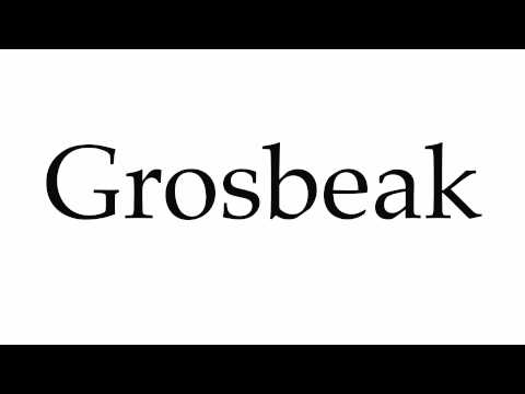 How to Pronounce Grosbeak