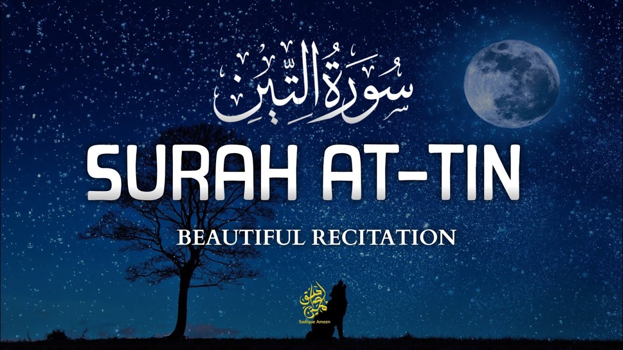 Surah At Tin Beautiful Recitation سورة التين 5X Repeat Surah Tin Sadique