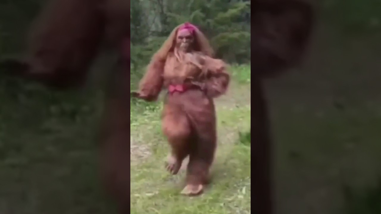 monkey funny videos @chiks- @Bollywoodpe charcha @tseries #shorts #chhotudada #mrindianhacker #viral