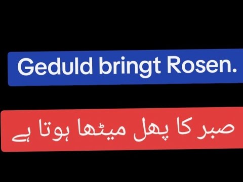 "8 Profound Wise Sayings with Urdu Translation and Meaning"