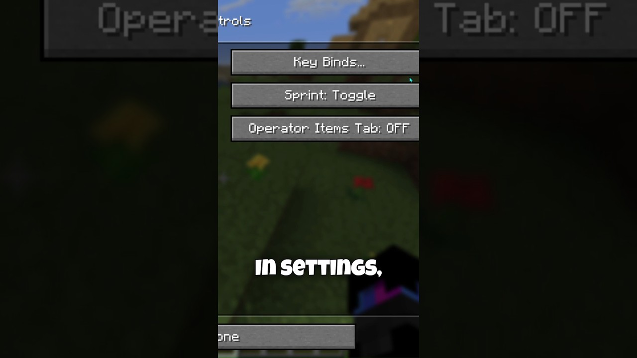 Sprint Toggle Explained #minecraft #minecraftjava