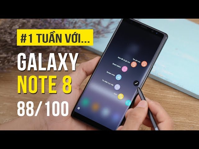 WED điện thoại khuyến mại