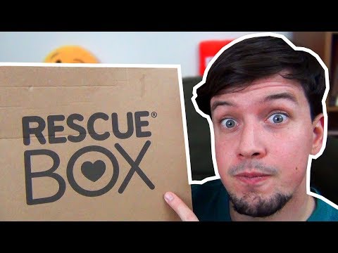 RescueBox Unboxing Feat. My Kitties
